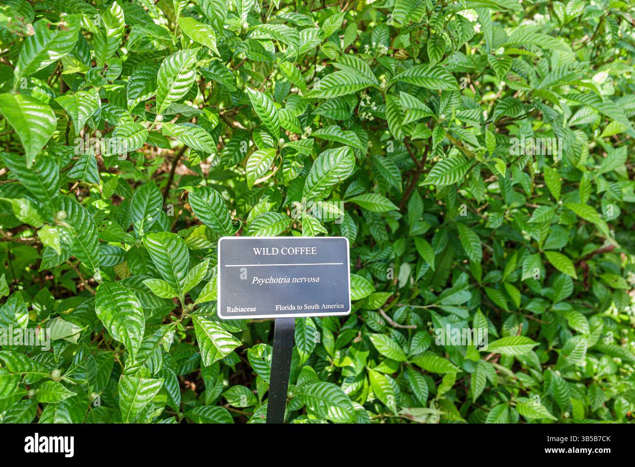 botanical garden advice pre-visit - Community support: ask the forum ...